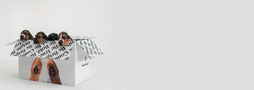 Shoes Size Guide - Hush Puppies UK